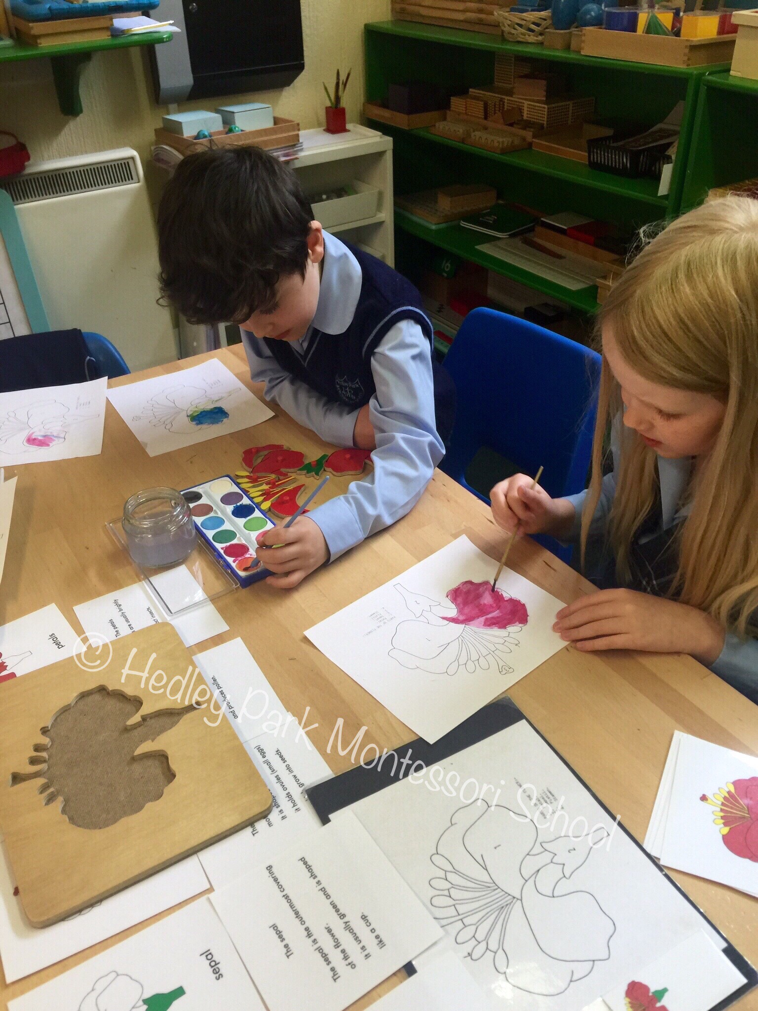 Senior Class – Botany, the parts of the flower. – Hedley Park ...